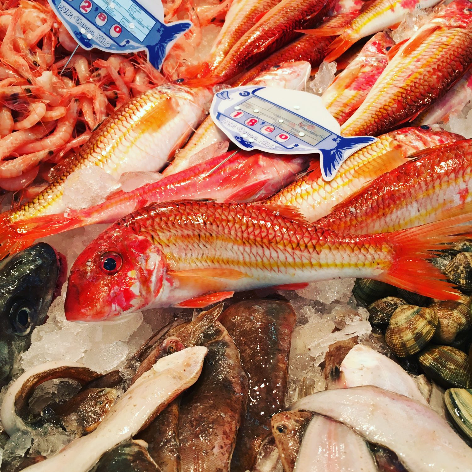 Classic Spanish Cooking culinary holiday with Annie B