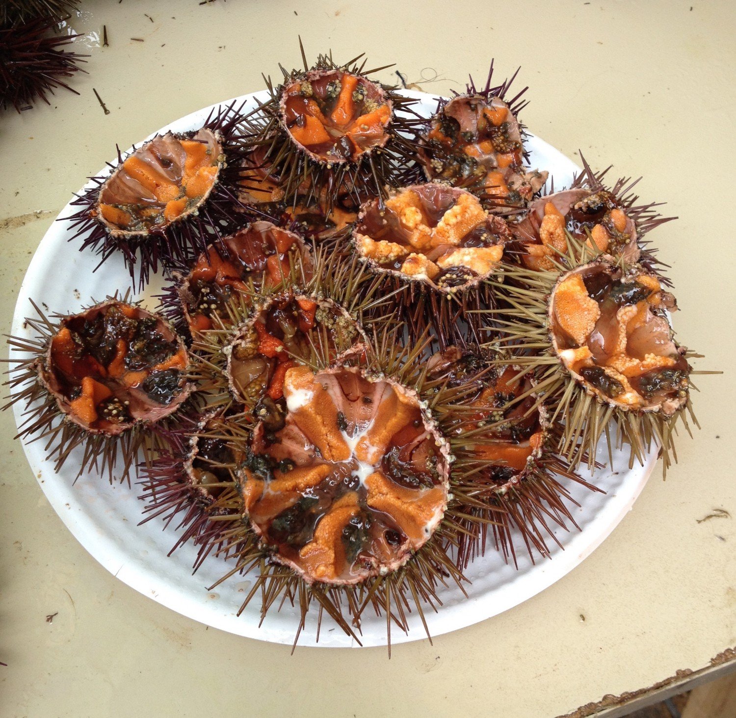 A-Z List of Spanish Food Names from Annie B